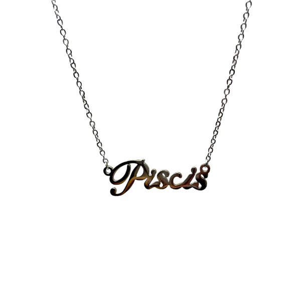 Lunera Acero | Collar Acero Signo Zodiaco Picis